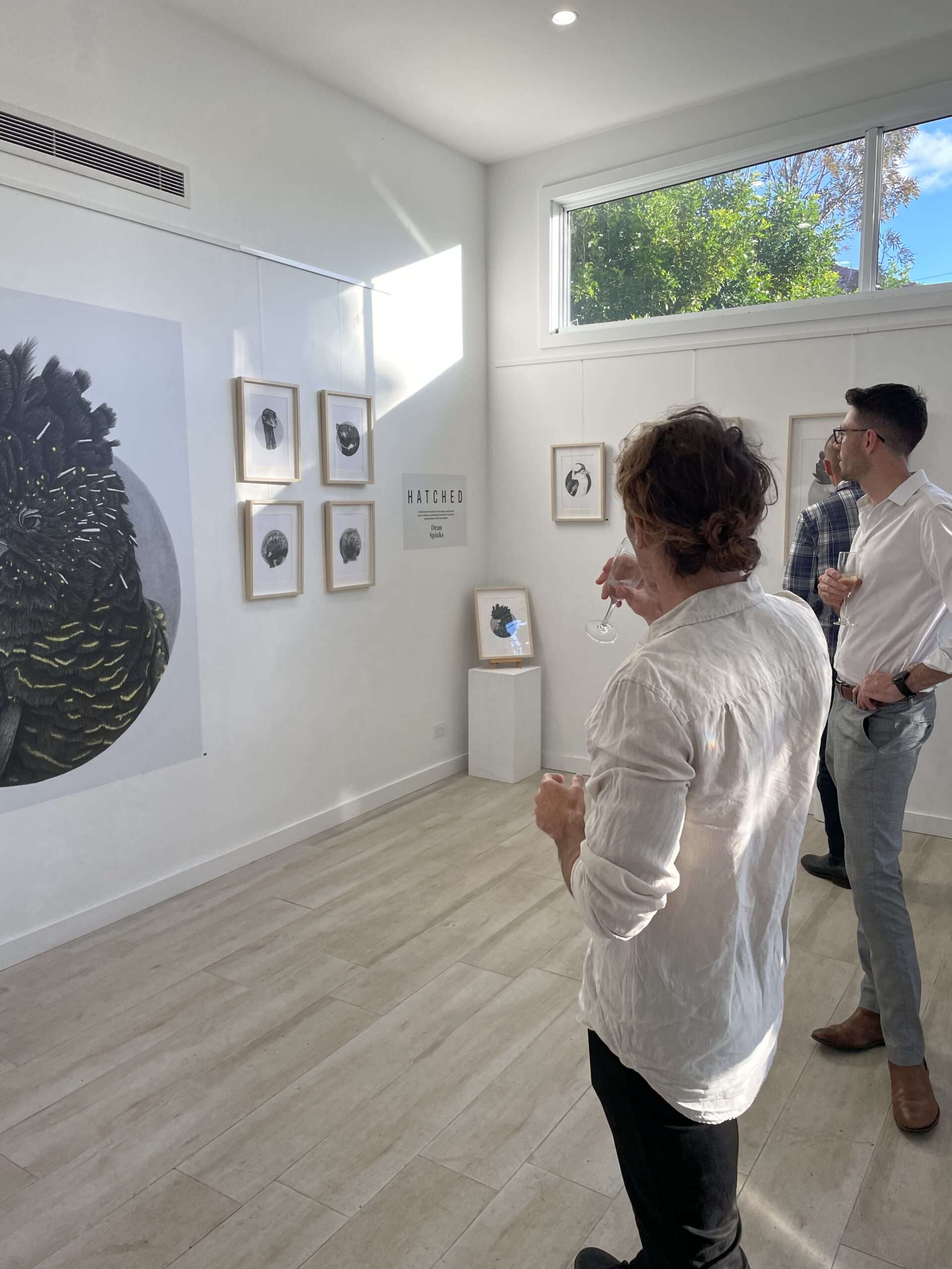 That's a wrap on Hatched! | Dean Spinks Art